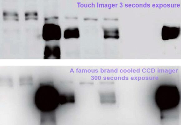 Revolutionary Western Blot Touch Imagers | e-Blot