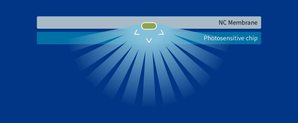 Western Blot Imaging System Suppliers in China | e-Blot