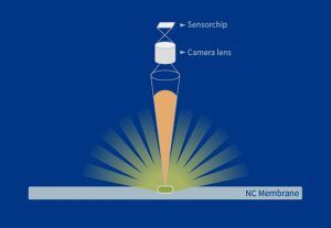 Western Blot Imaging System Suppliers in China | e-Blot
